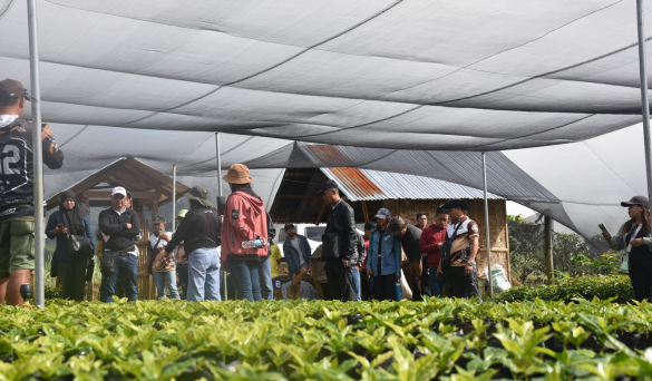 The Sultan Kudarat – Bukidnon coffee connection – Mindanao Times