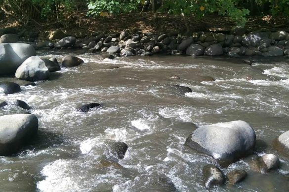 Tamugan-Panigan River – Mindanao Times