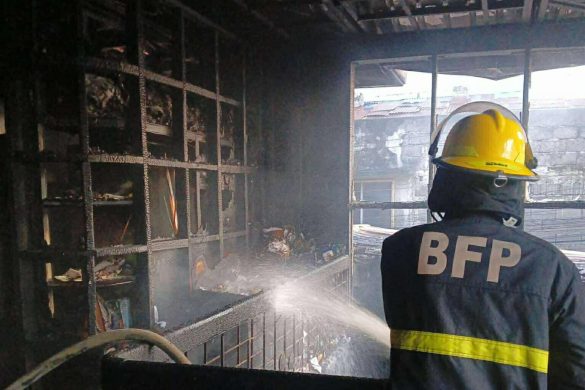 Organic small-scale farmers advised to get PGS-certified – Mindanao Times