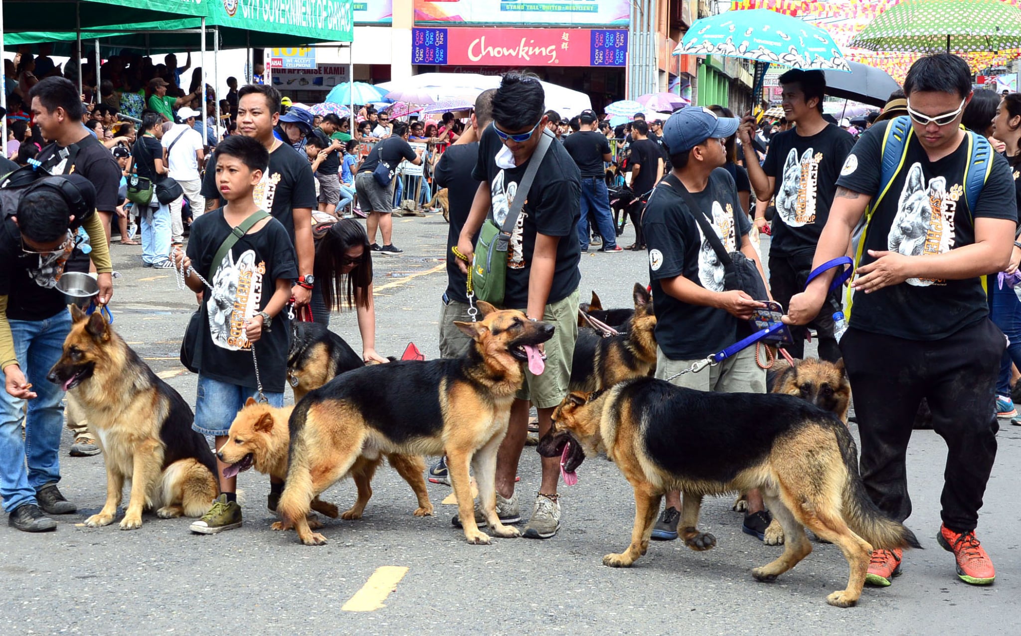Proposed city’s animal welfare, public safety law underway – Mindanao Times