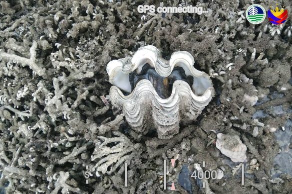DENR-12 warns vs. biological hazards from coastal uplift in Glan ...