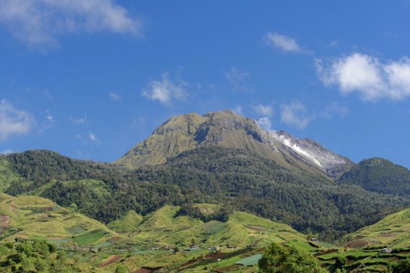 4ID: Last remaining members of NPA’s NMRC surrender in Caraga ...
